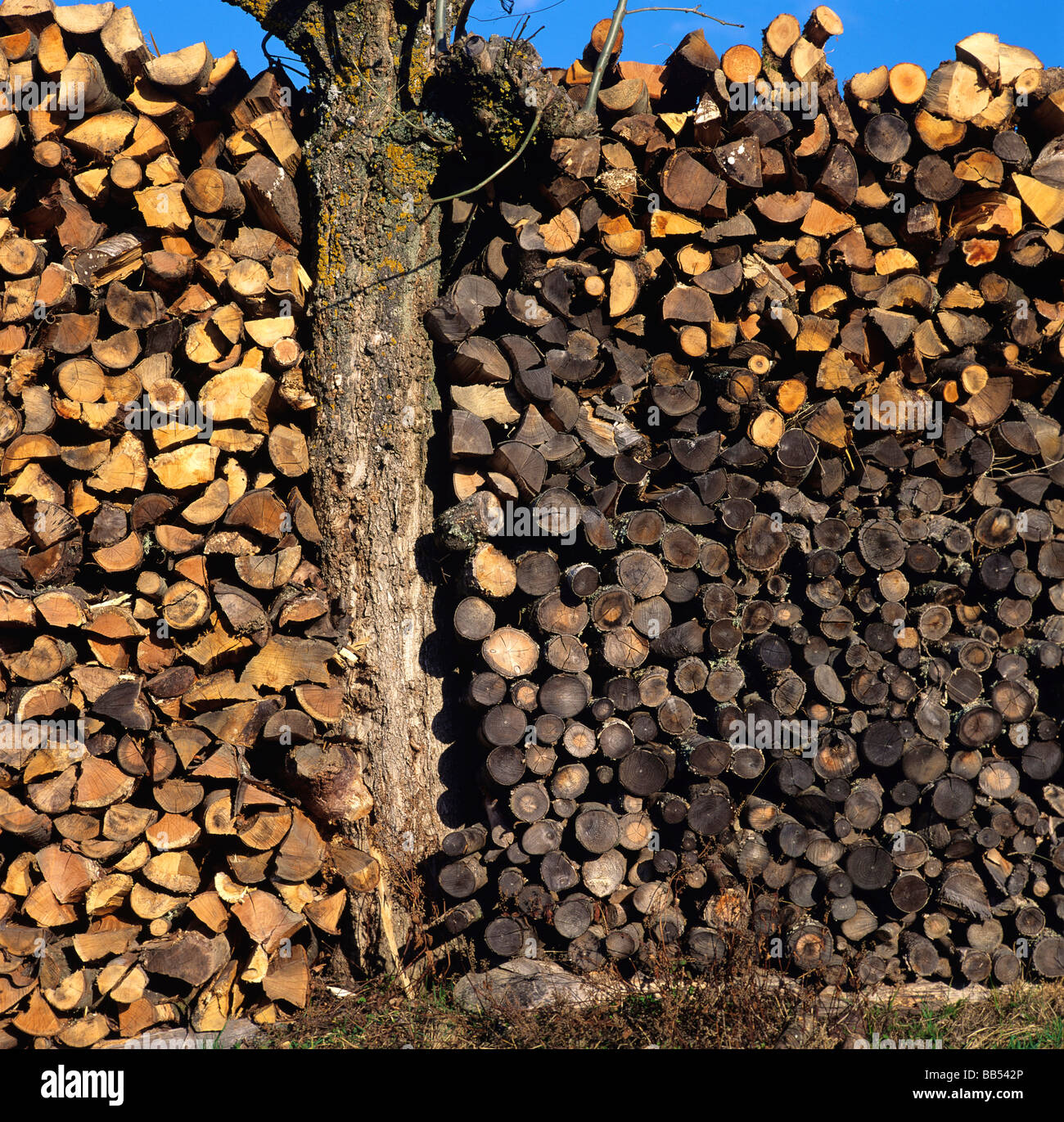 Combustible wood hi-res stock photography and images - Alamy