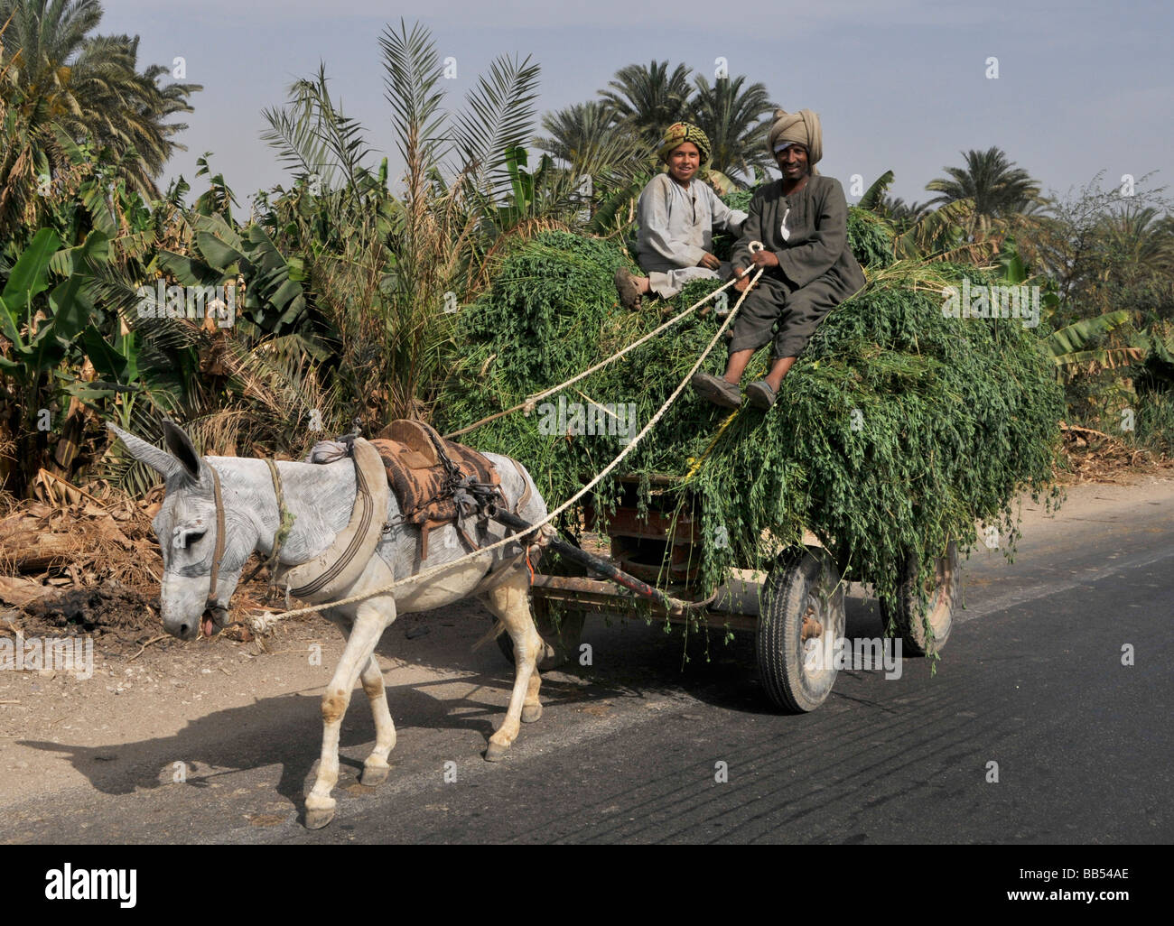 Ancient Egypt Nile River Farm