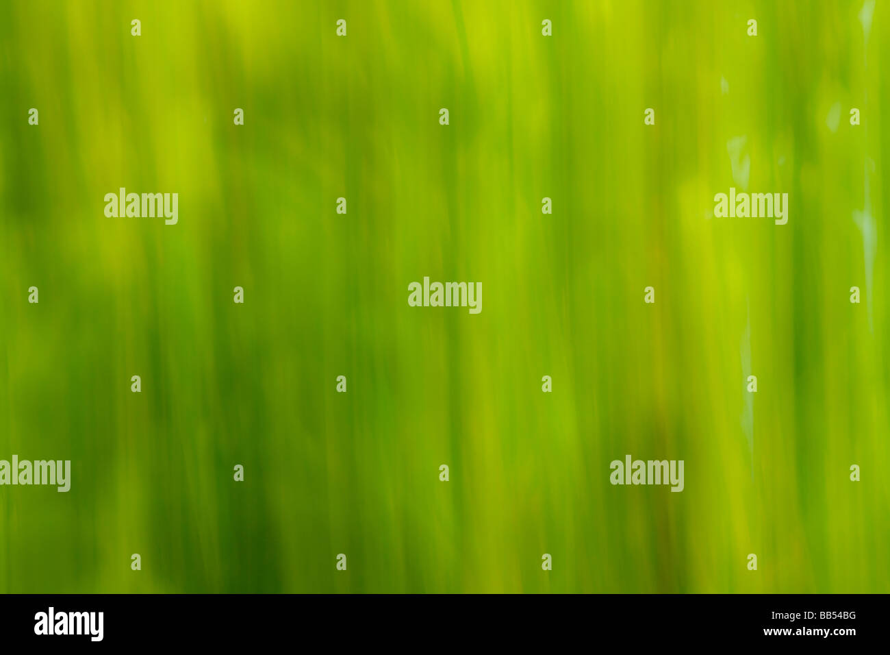 Green vertical gradient background design hi-res stock photography and ...