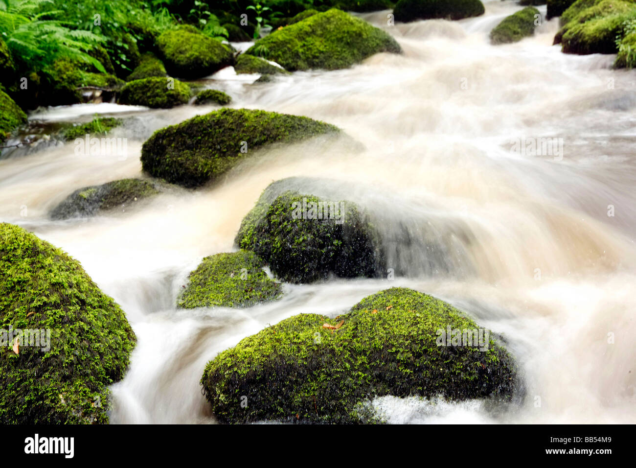 Water cascading flowing running over rocks hi-res stock photography and ...