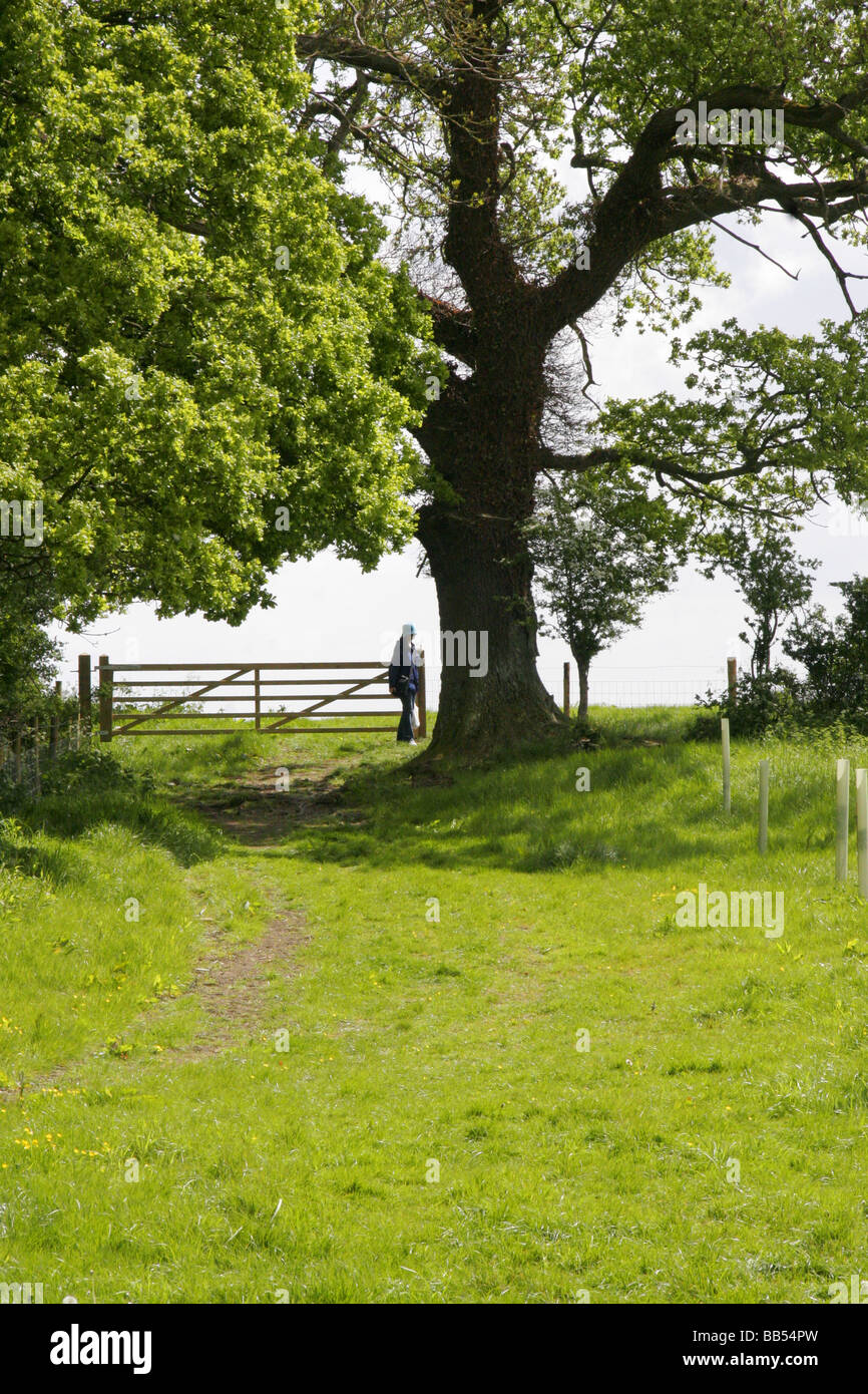 Farm gate Wiltshire England Stock Photo - Alamy