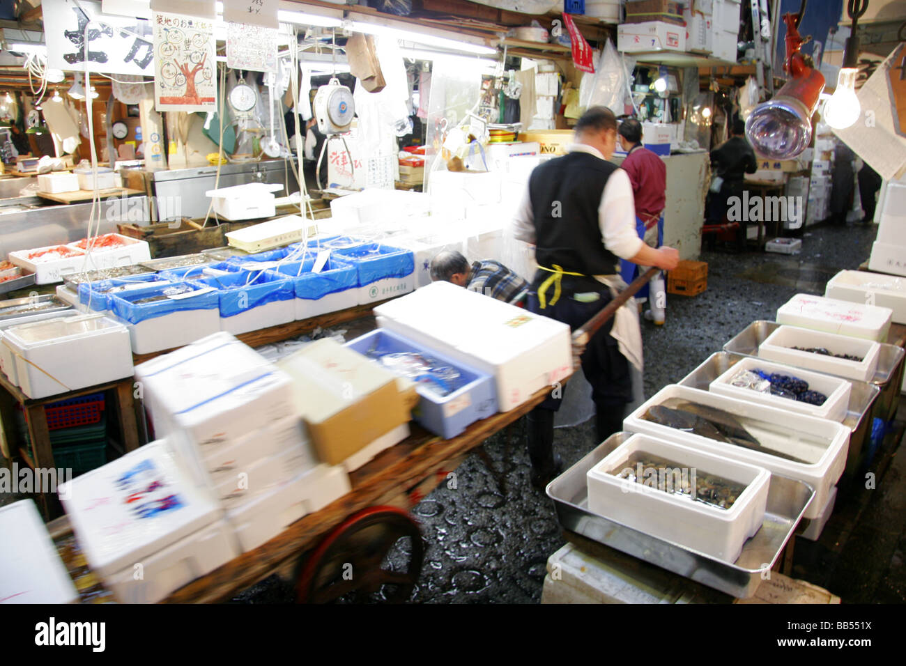 Tsukiji central wholesale fish market Tokyo, Japan Stock Photo - Alamy