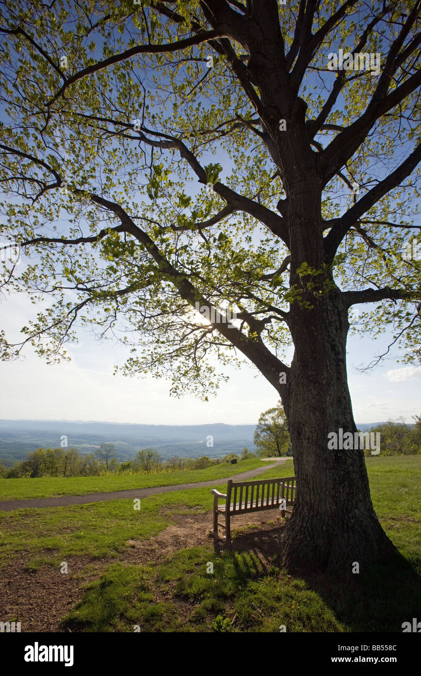 Springtime sunset view framed by an oak tree at the Dicky Ridge Visitor ...