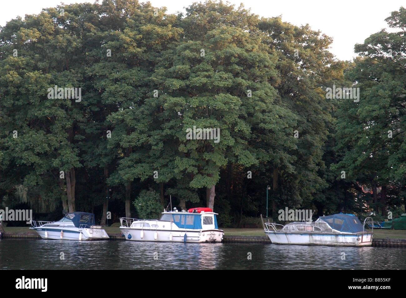 River thames ham hi-res stock photography and images - Alamy