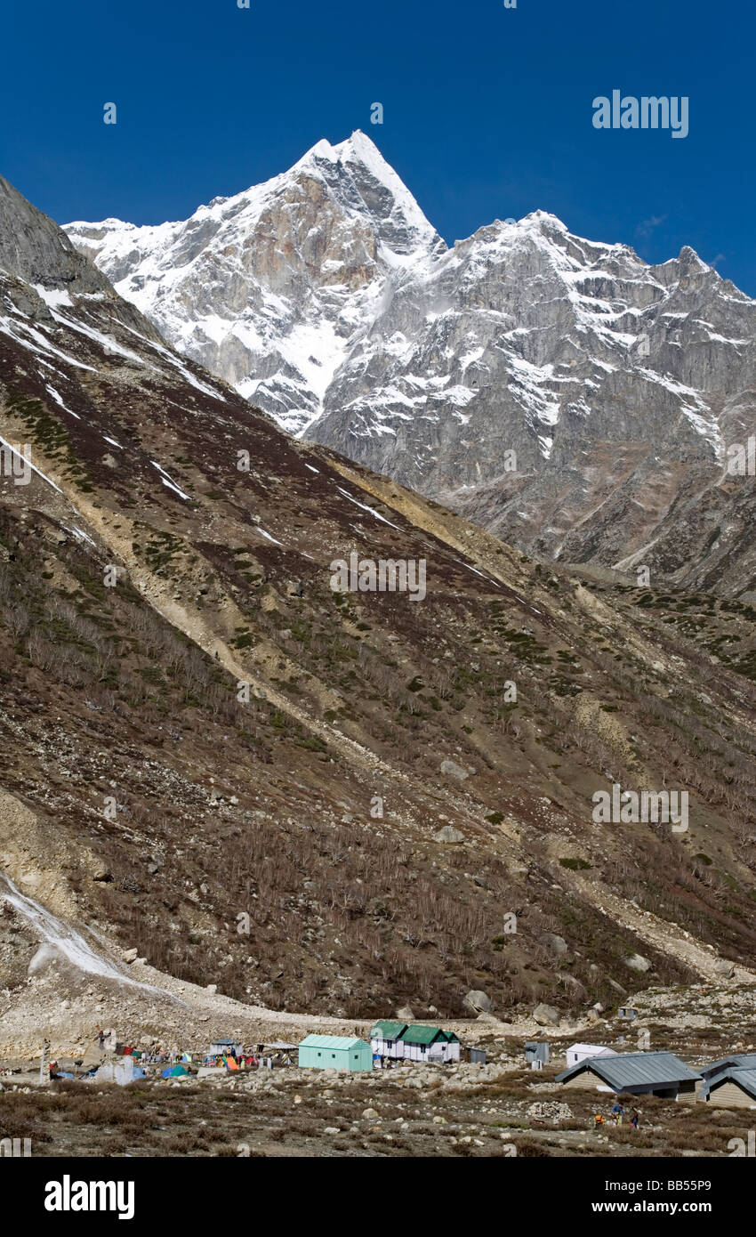 Bhojbasa (3792m). Gangotri National Park. Uttarakhand. India Stock ...