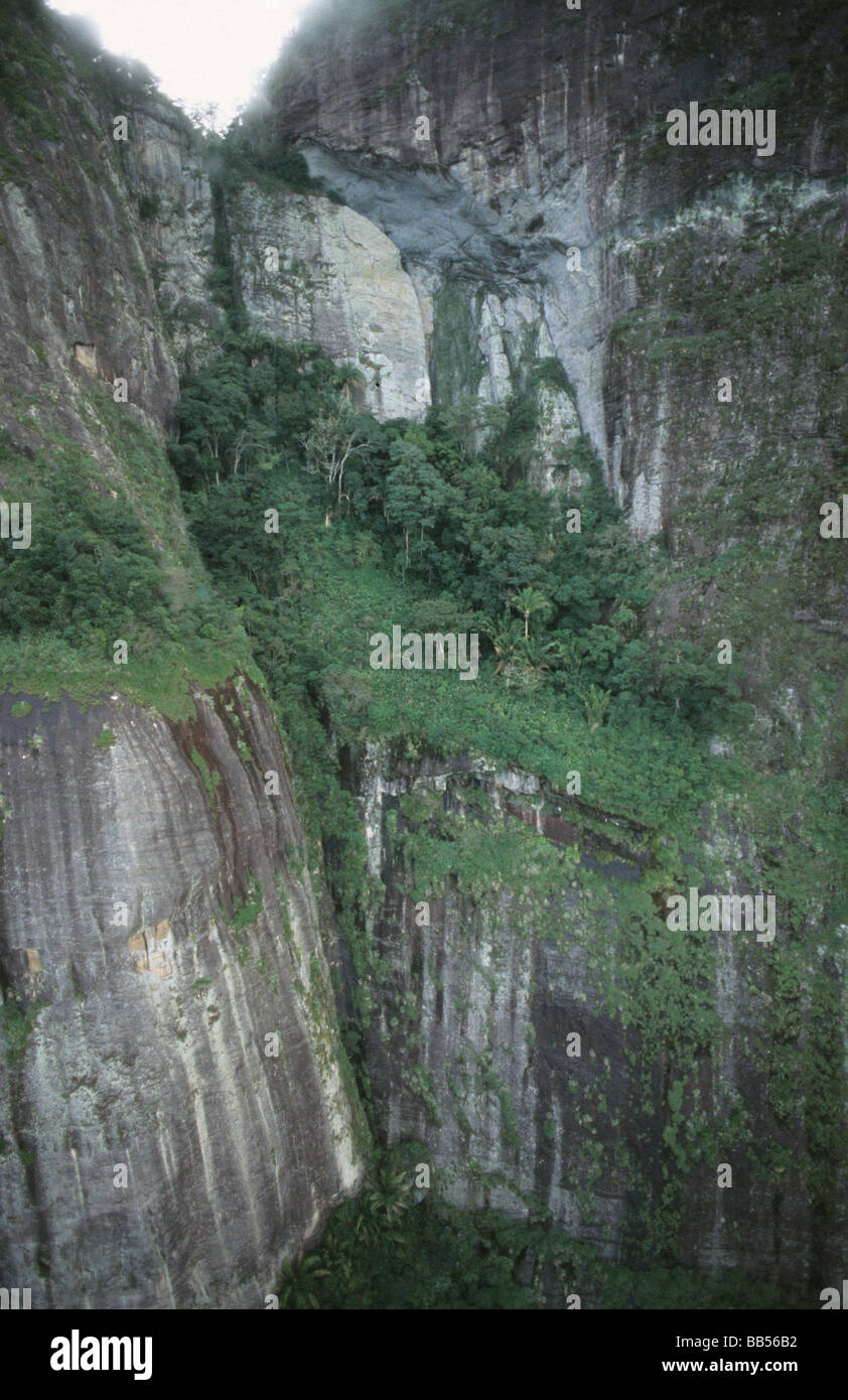 Detail of Pedra da Gavea Rio de Janeiro Brazil Stock Photo - Alamy