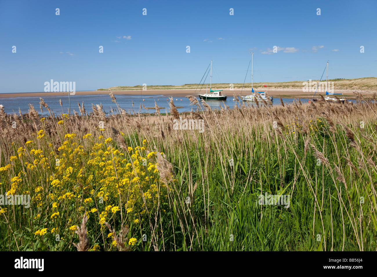 River alt estuary hi-res stock photography and images - Alamy