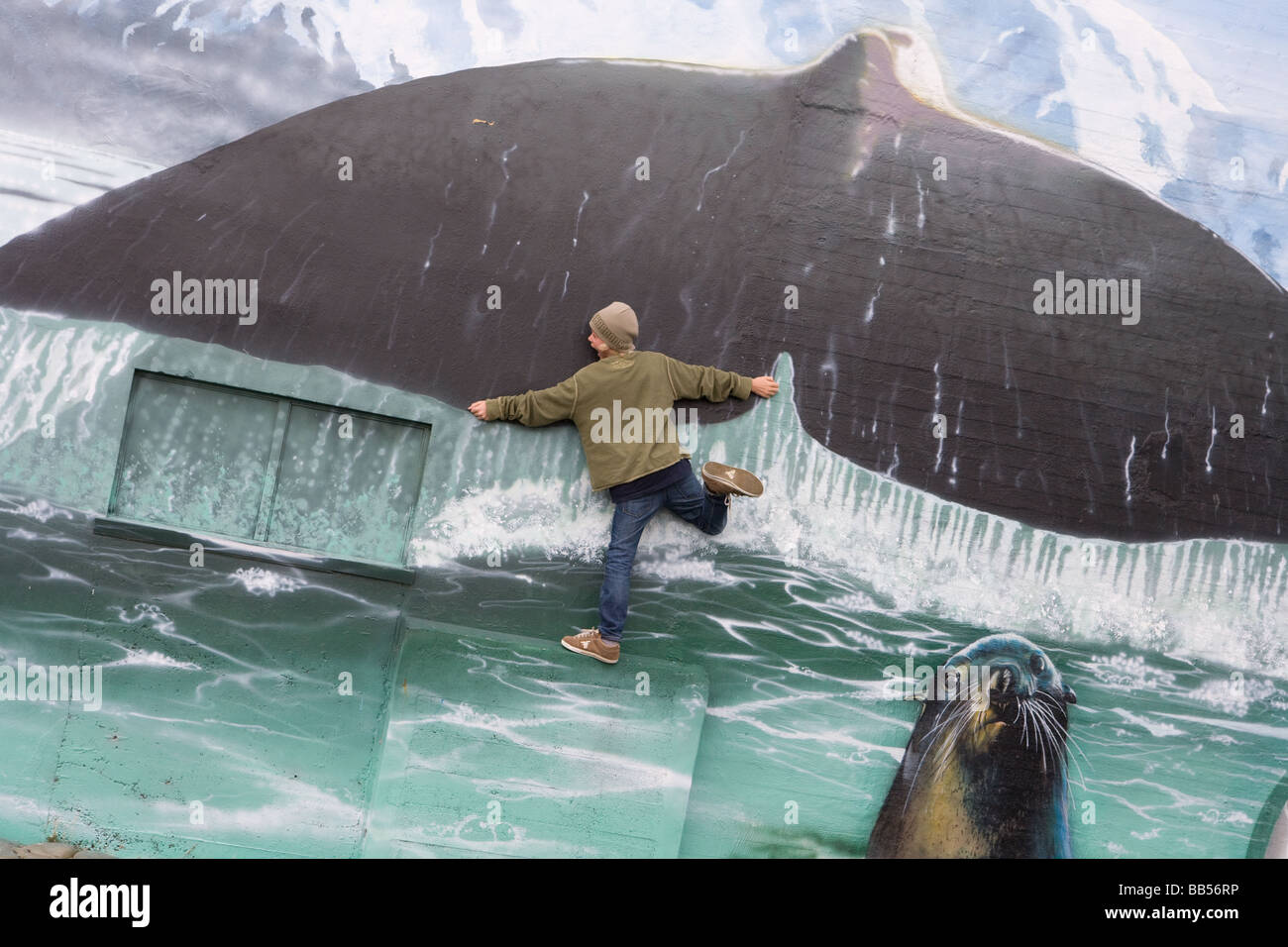 Kaikoura whale seal hi-res stock photography and images - Alamy