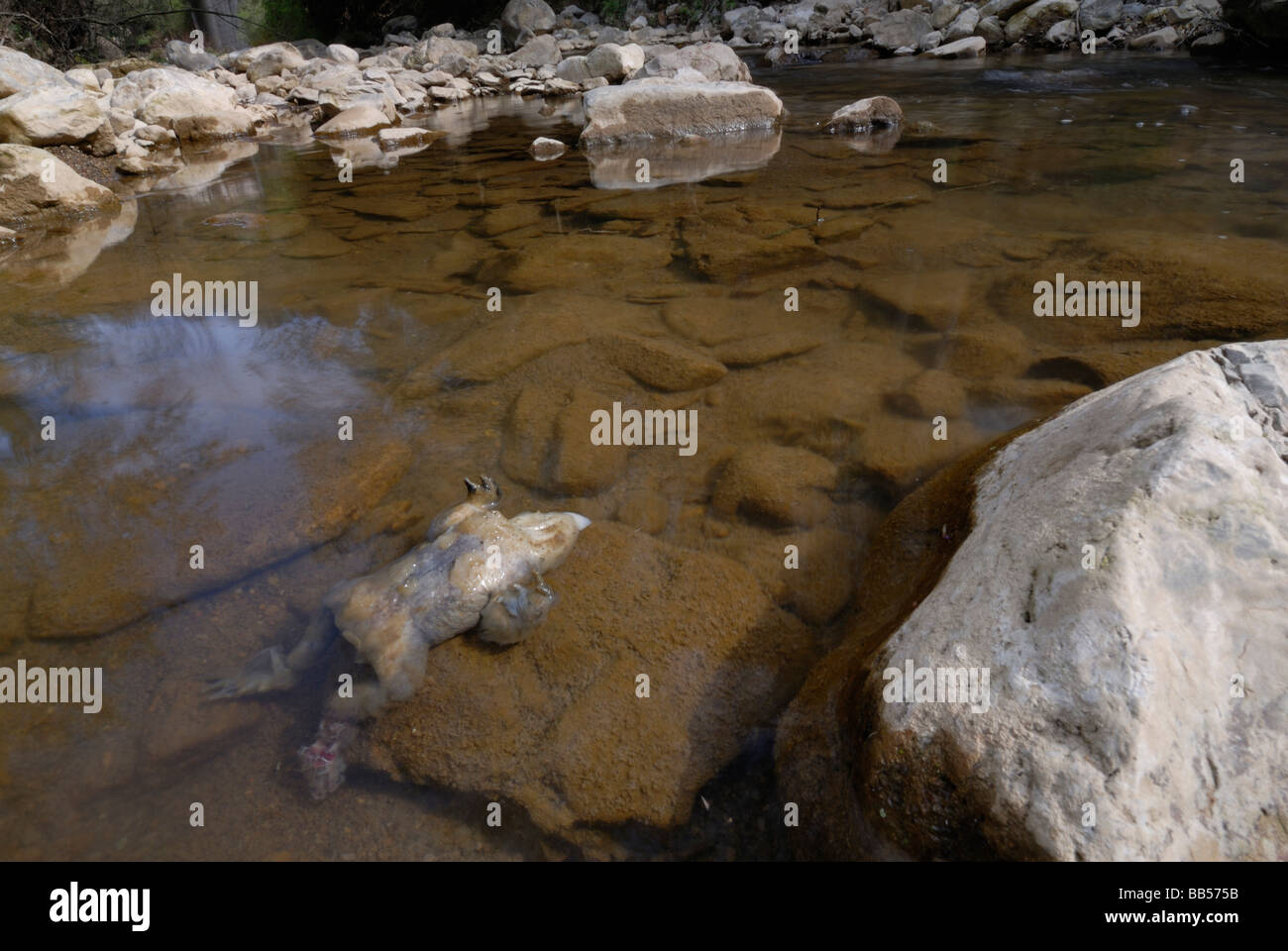 Lumi hi-res stock photography and images - Alamy