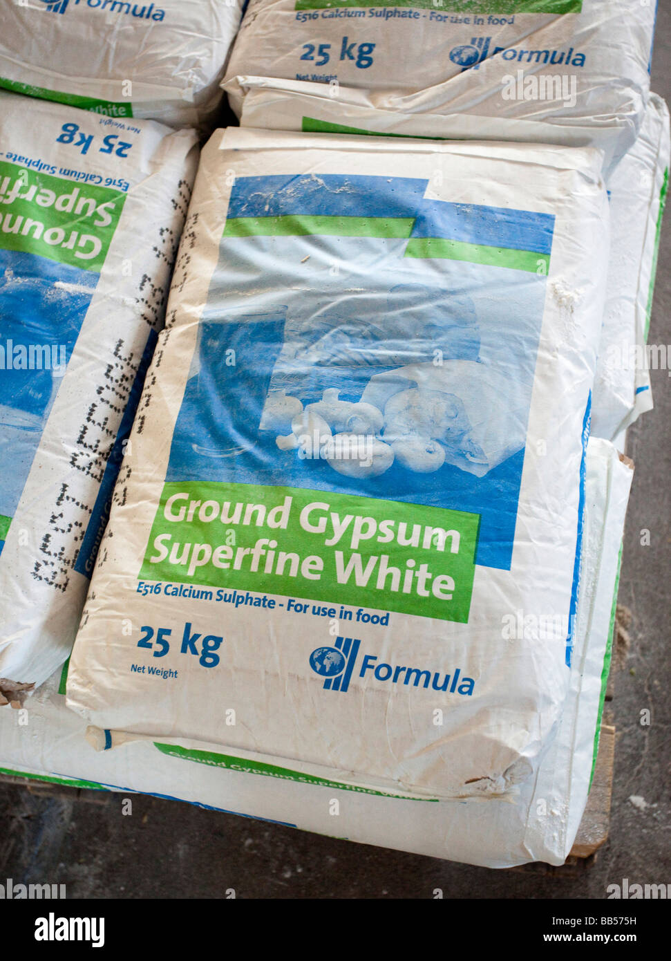 Calcium Sulfate Structure