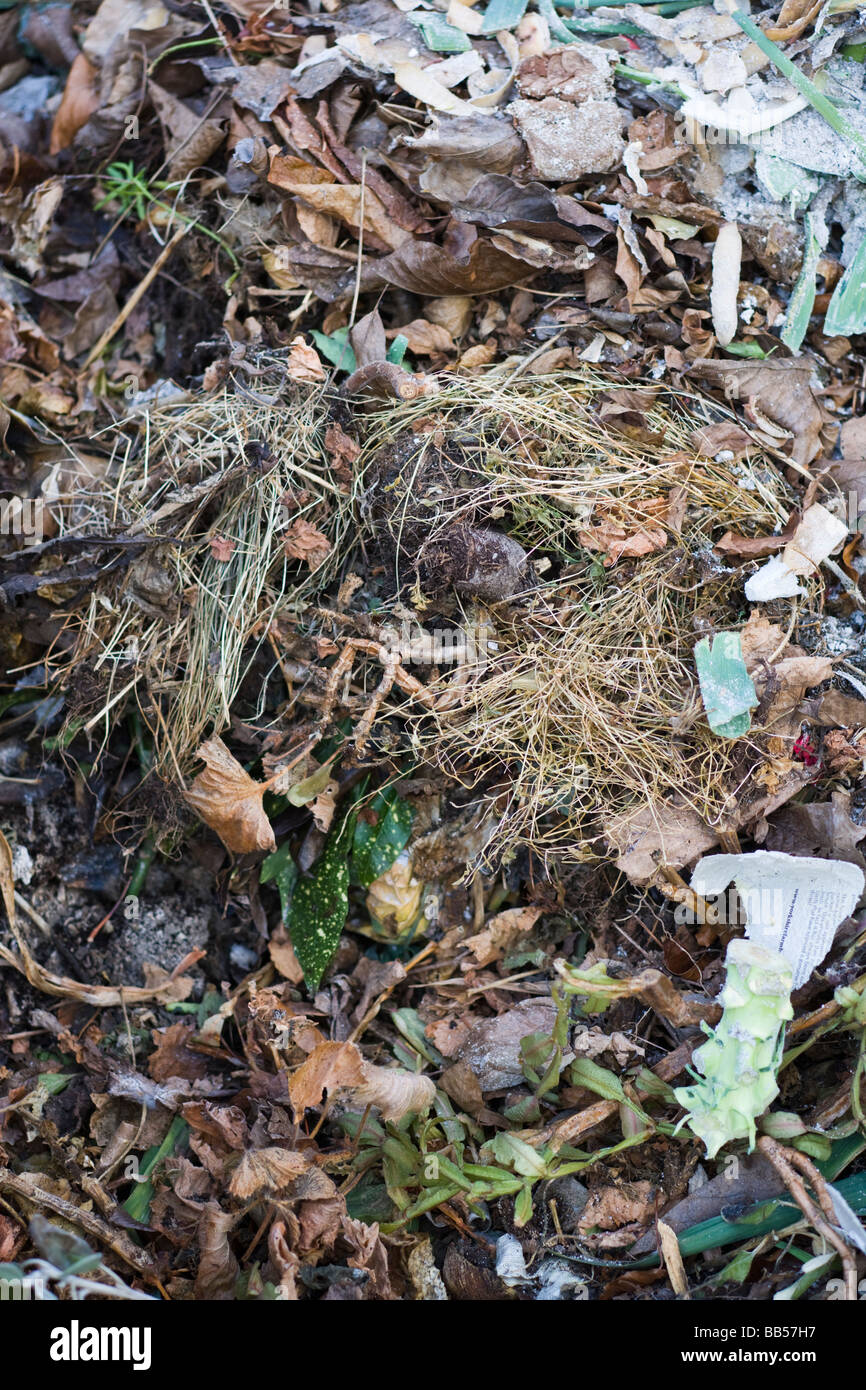 Compost heat hi-res stock photography and images - Alamy
