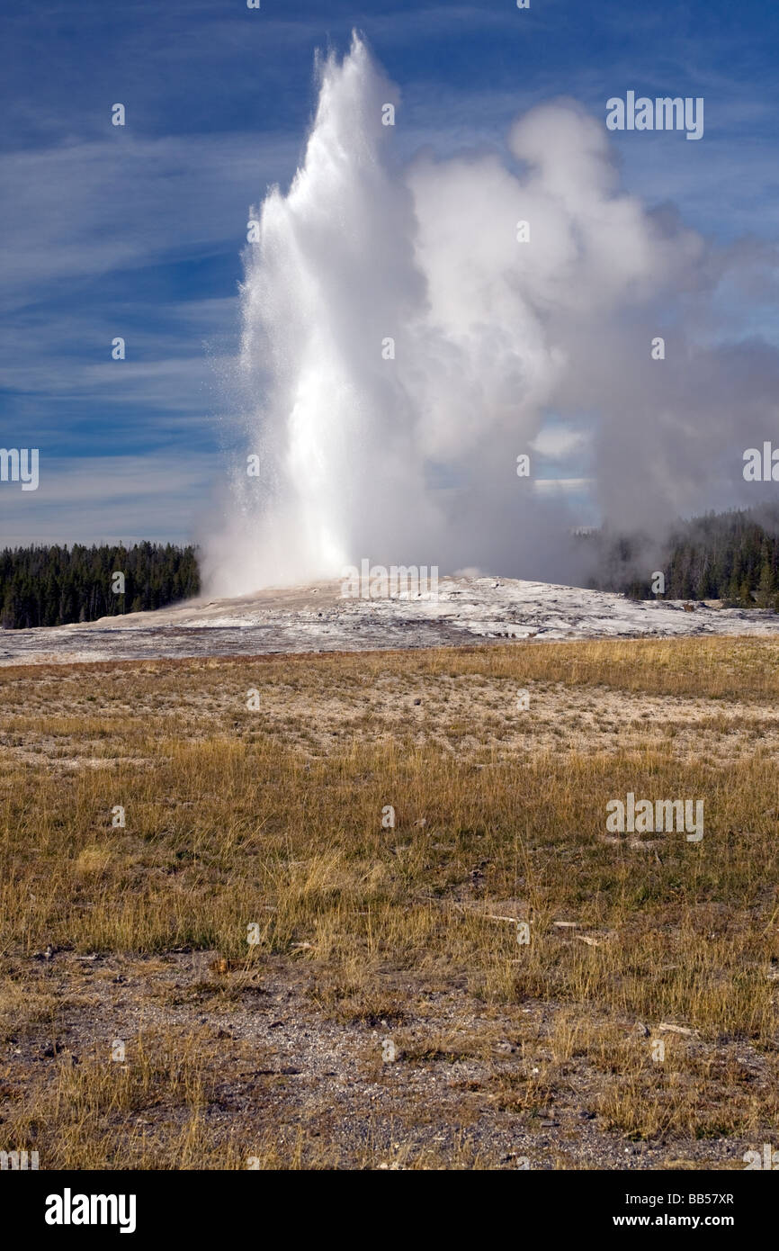 Old Faithful, Yellowstone National Park, WY Stock Photo - Alamy