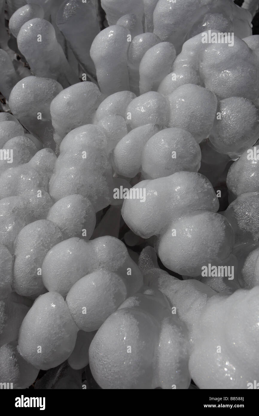 Ice on Plants - Formed from frozen mist from Niagara Falls - Niagara ...