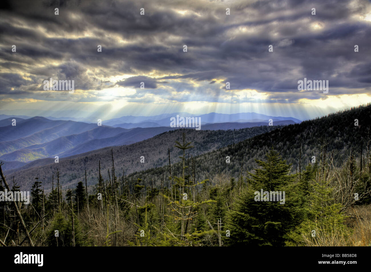 View from below Clingman's Dome, Smoky Mountains National Park ...