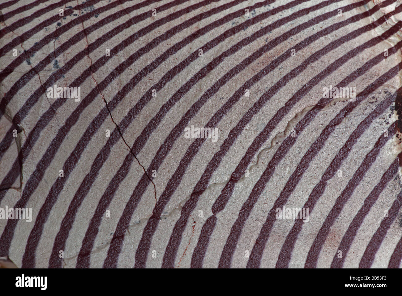 Zebra Stone - Western Australia - Fine grained siliceous argillite ...