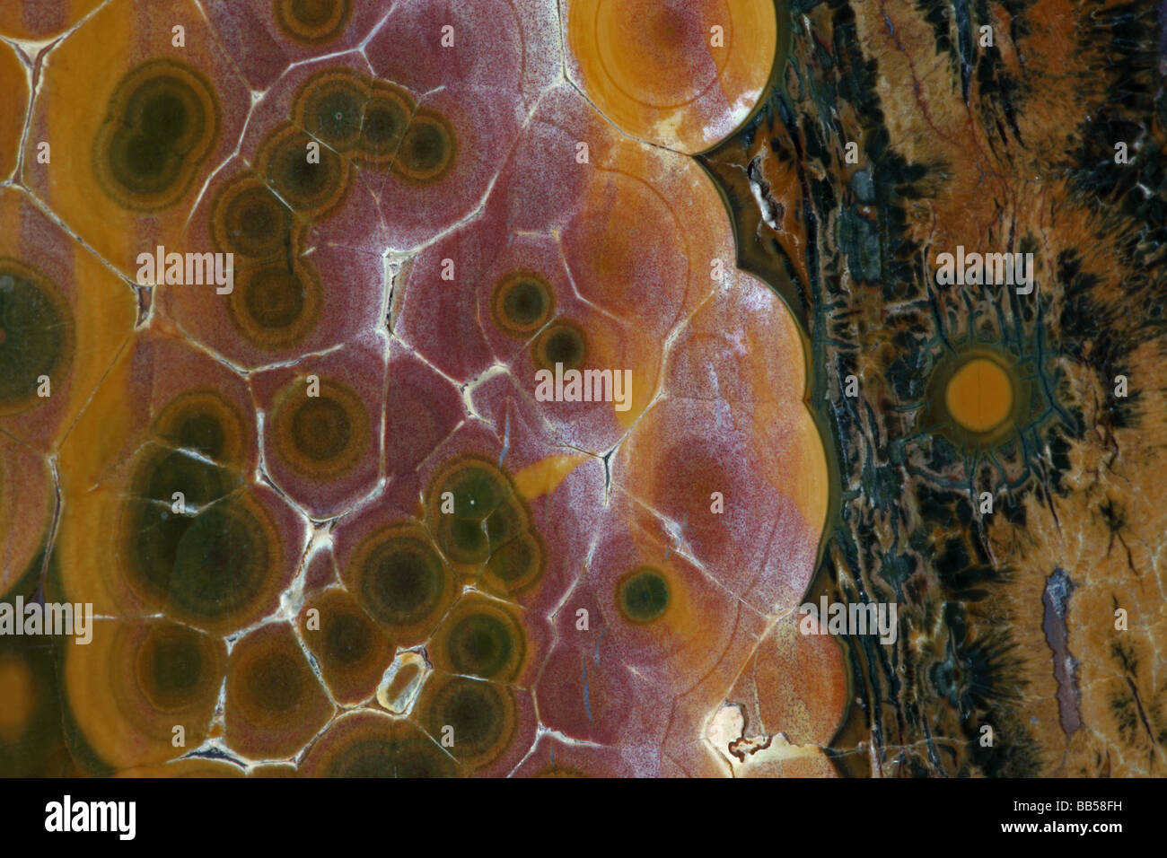 Orbicular jasper hi-res stock photography and images - Alamy
