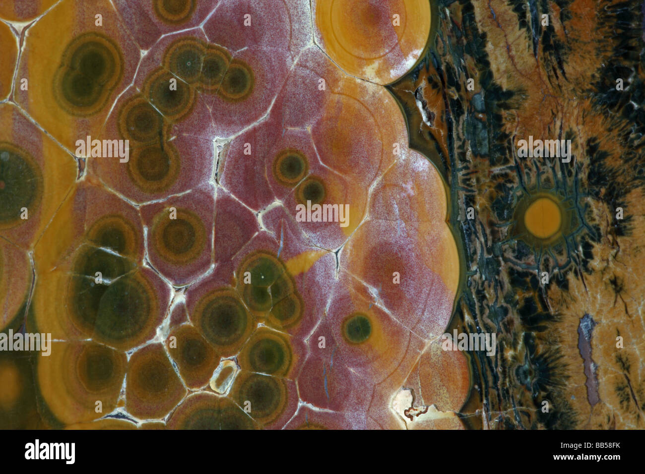 Madagascar orbicular jasper hi-res stock photography and images - Alamy