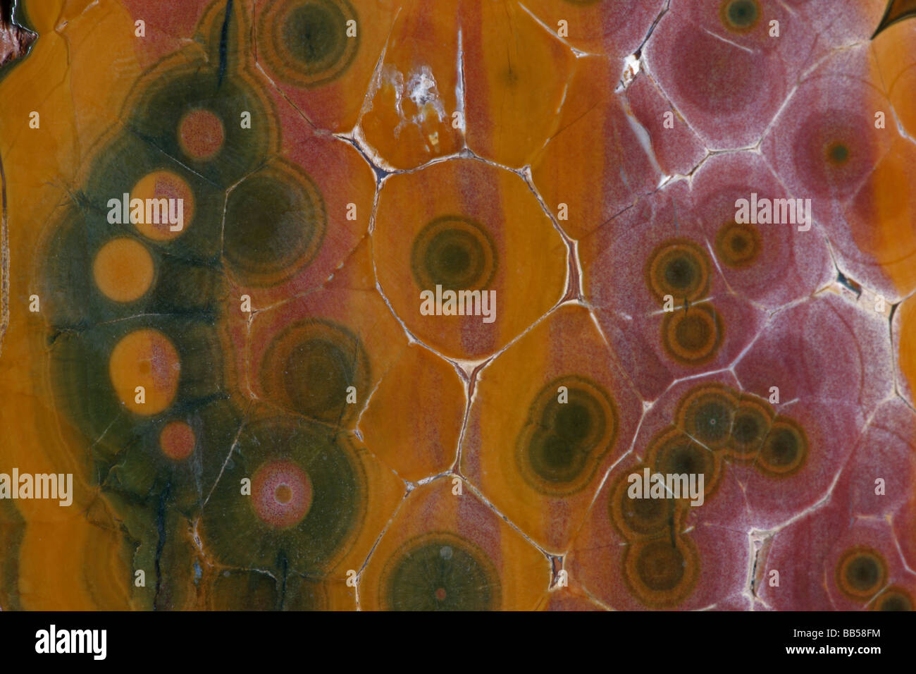 Madagascar orbicular jasper hi-res stock photography and images - Alamy