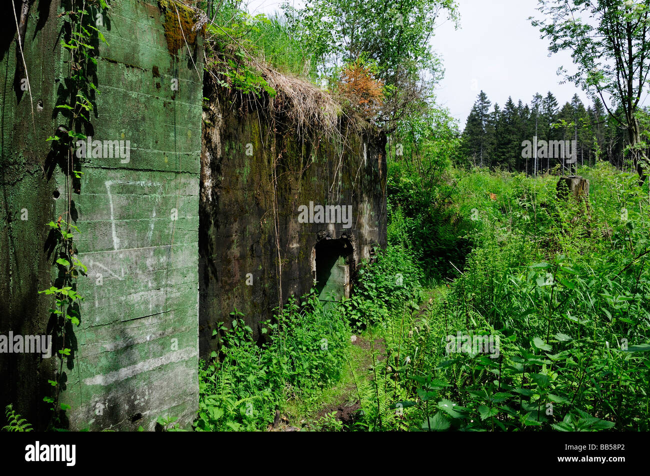 German World War Two bunker, Hurtgen Forest, Germany Stock Photo - Alamy