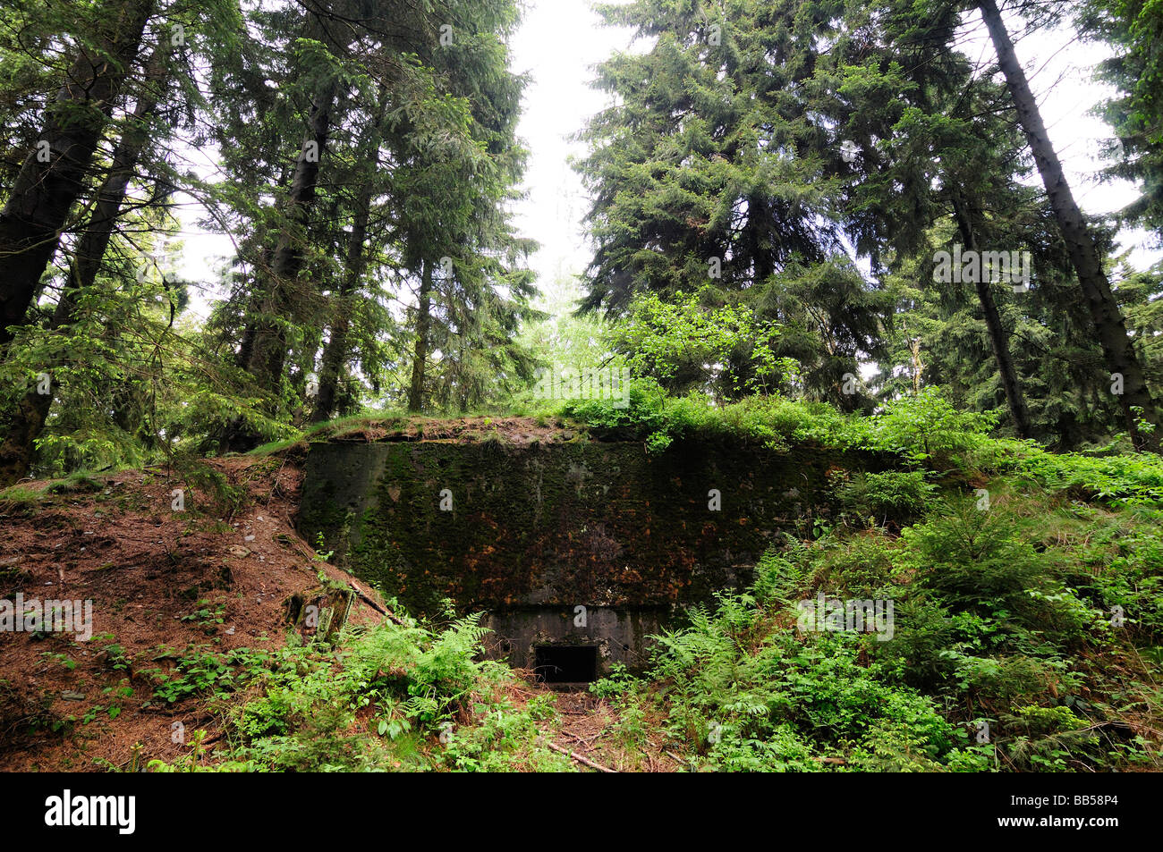 German Siegfried Line bunker in Huertgen Forest, Eifel Germany Stock ...