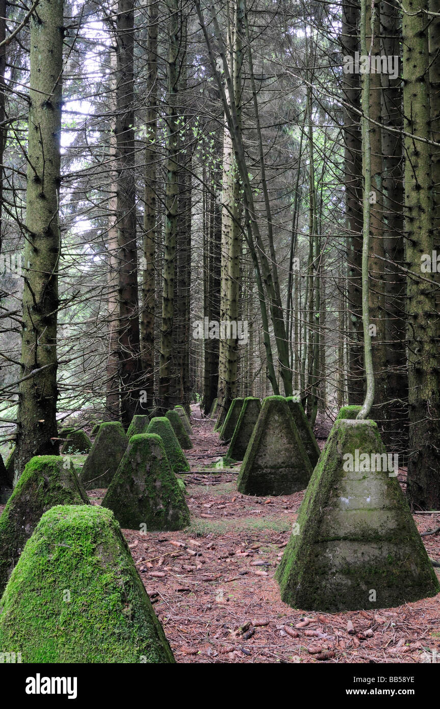Dragon's teeth tank obstacles in German Siegfried Line, Hollerath ...