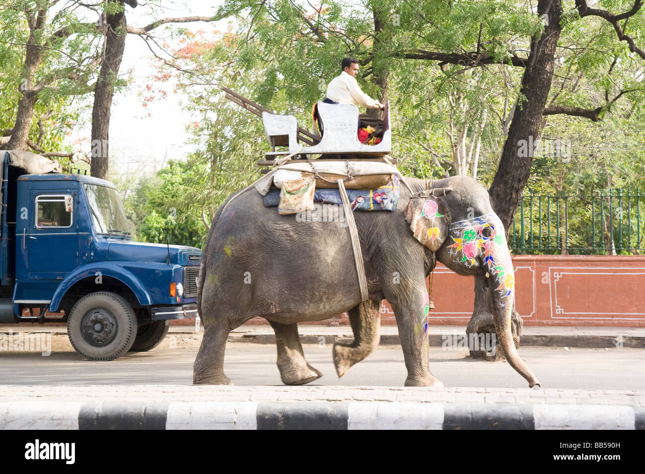 India Rajasthan Jaipur An Elephant in Downtown Stock Photo - Alamy