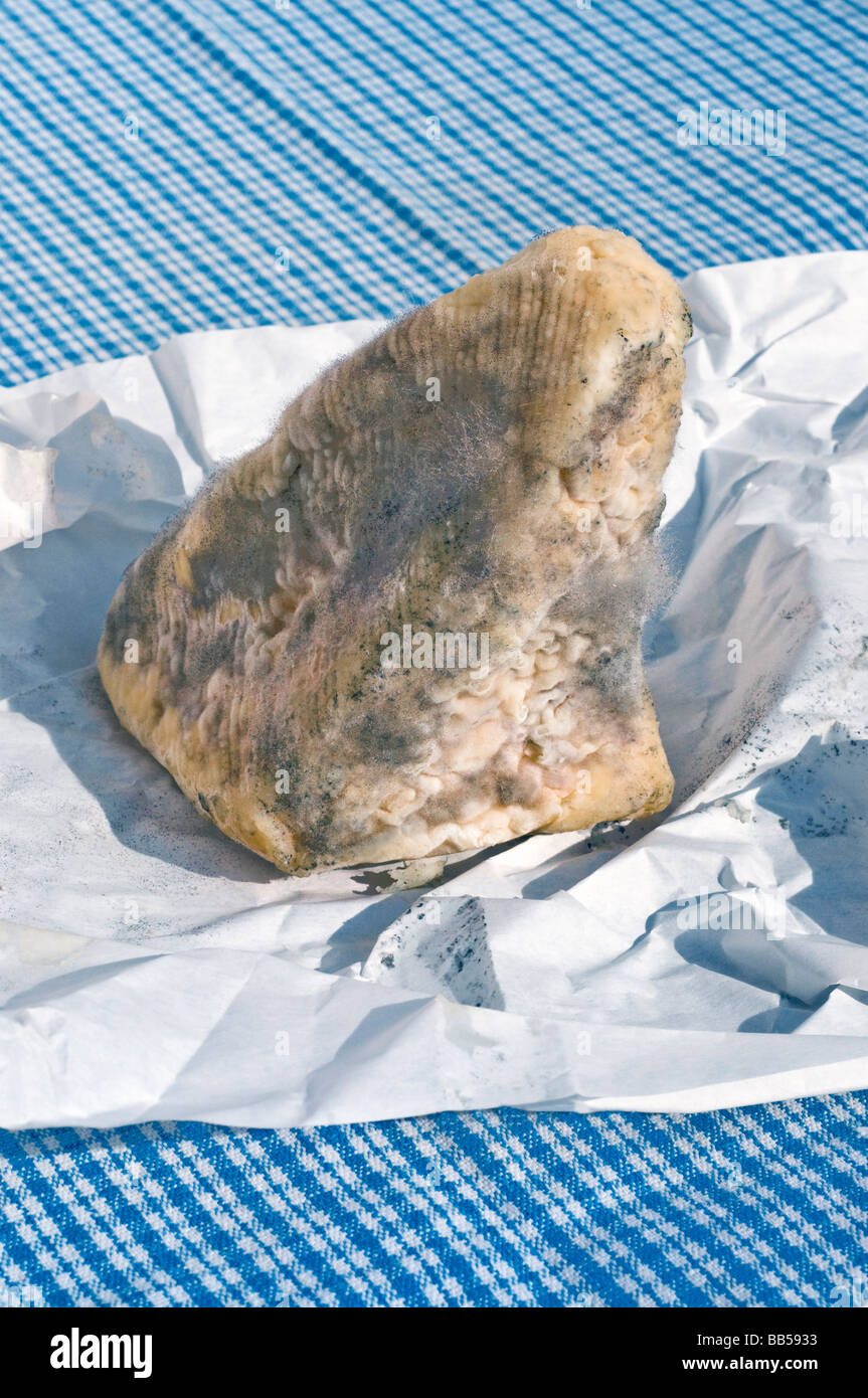 Old, hard, mouldy, hand-made pyramid goat's cheese / fromage de chevre ...