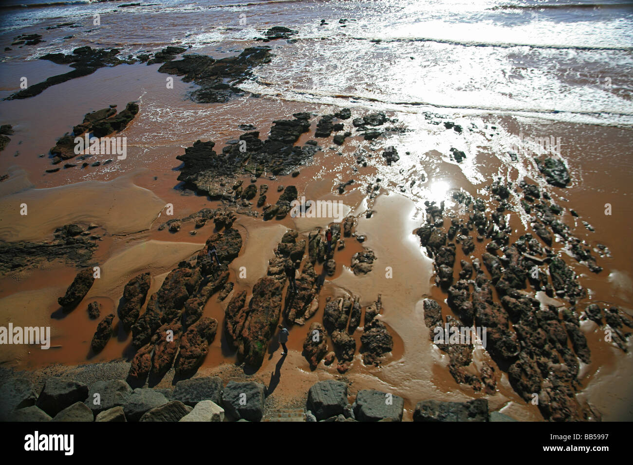 Rock pools on the beach at Sidmouth, Devon, England, UK Stock Photo - Alamy