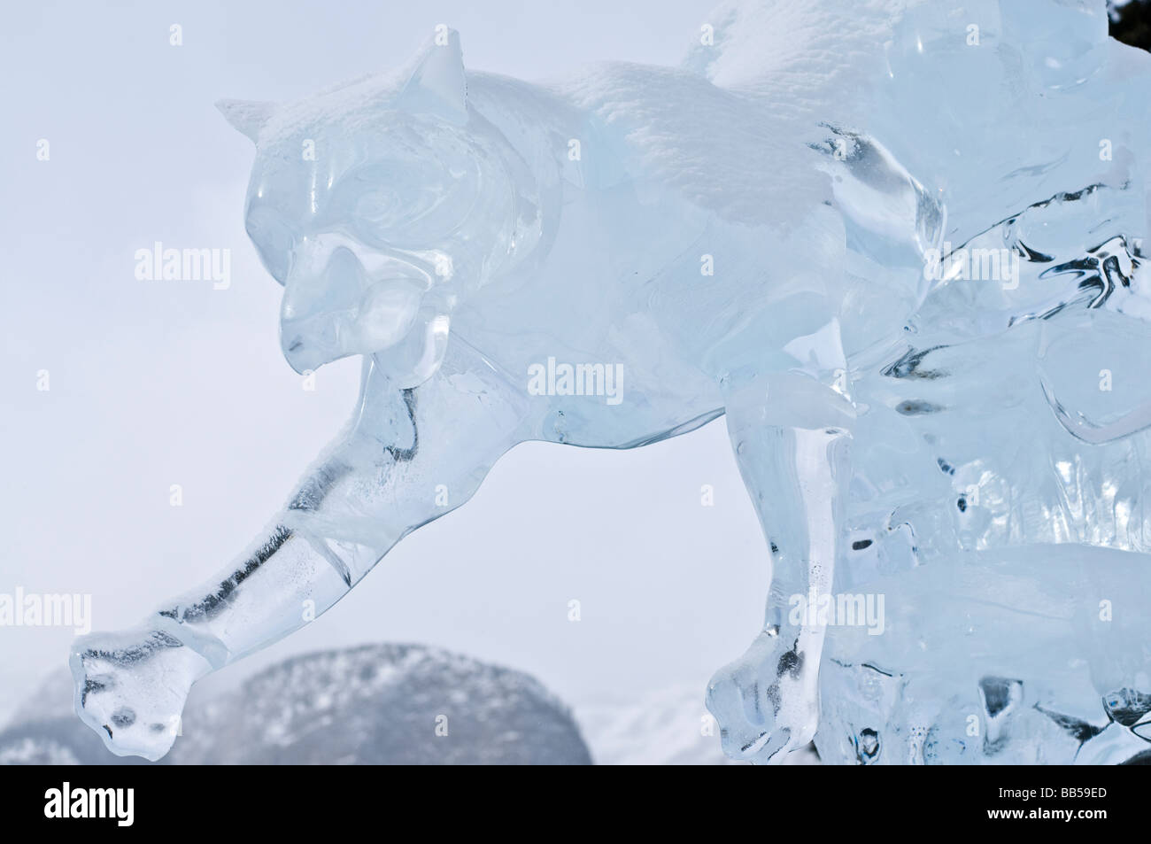 Ice sculpture from the 2009 Ice Magic international ice carving ...