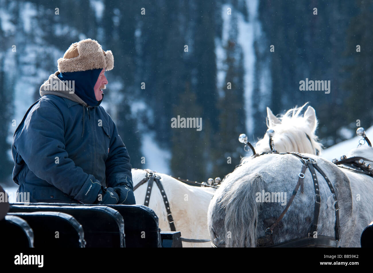 Taking a horse drawn sleigh ride at the Lake Louise Mountain Resort ...