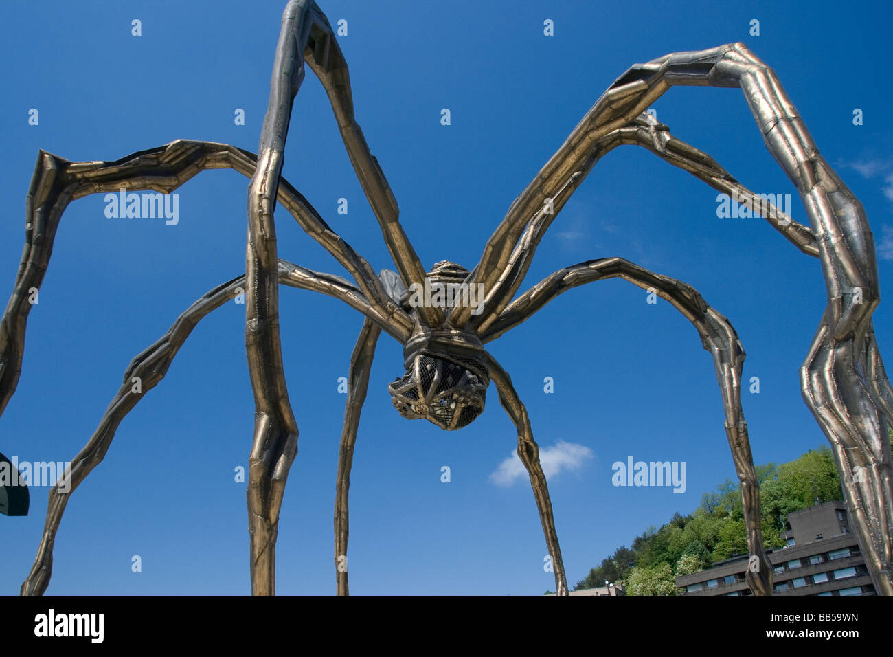 Spider Sculpture Guggenheim Museum Bilbao Stock Photos & Spider ...