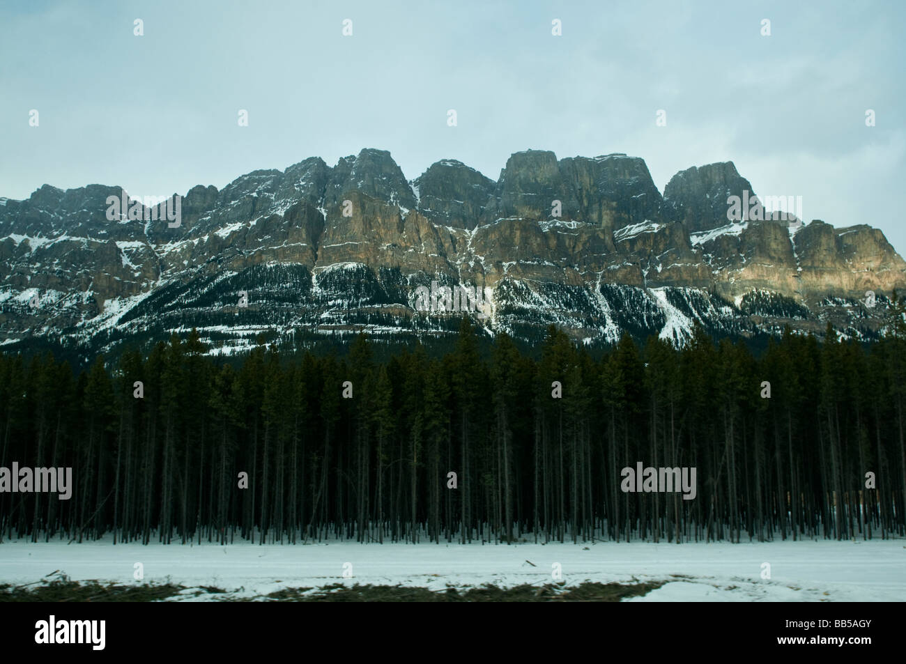 Fir trees in a snowy landscape in the Banff National Park in Canada ...