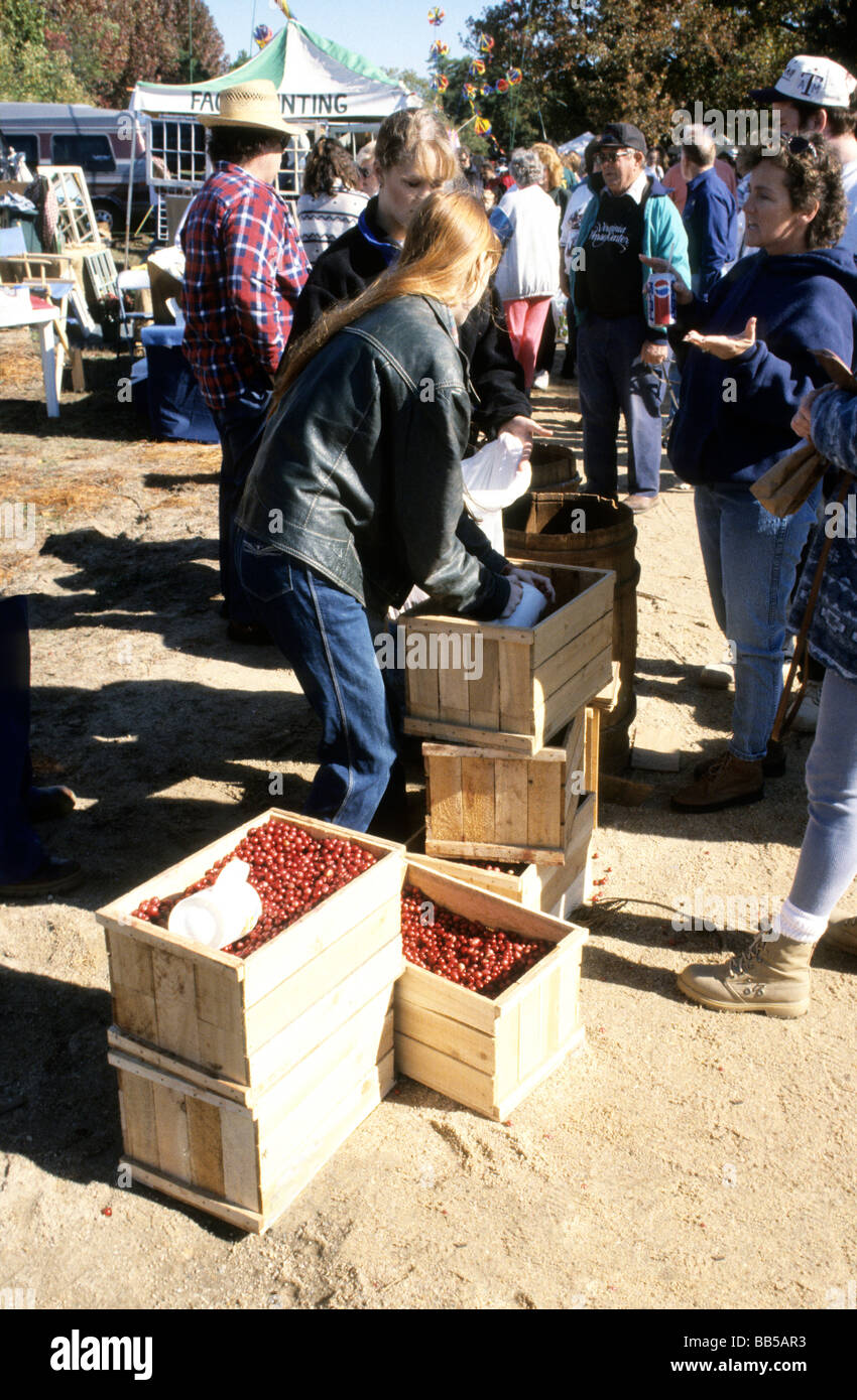 Loose boxes hi-res stock photography and images - Alamy