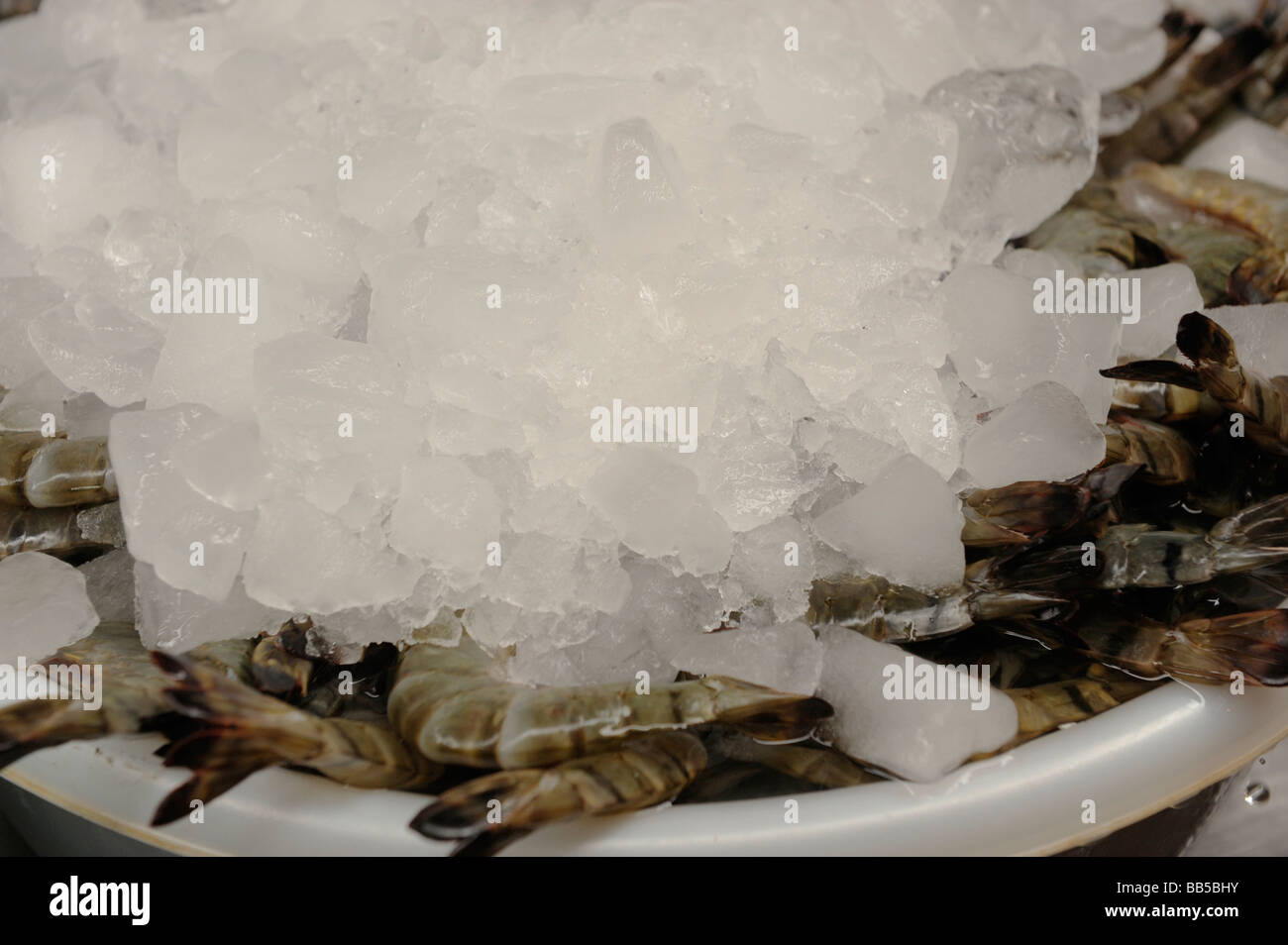 Vietnam prawn not shrimp hi-res stock photography and images - Alamy