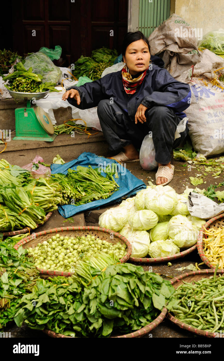 Vegetable vender at fresh market Thanh Ha street, Old Quarter, Hanoi ...