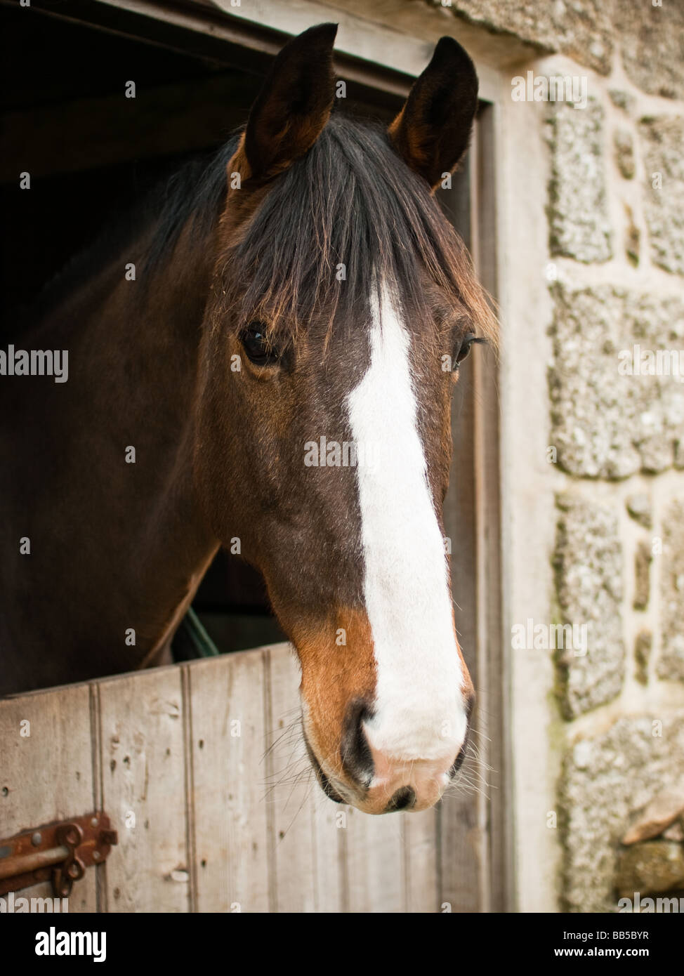 Farm farmhouse horse hi-res stock photography and images - Alamy