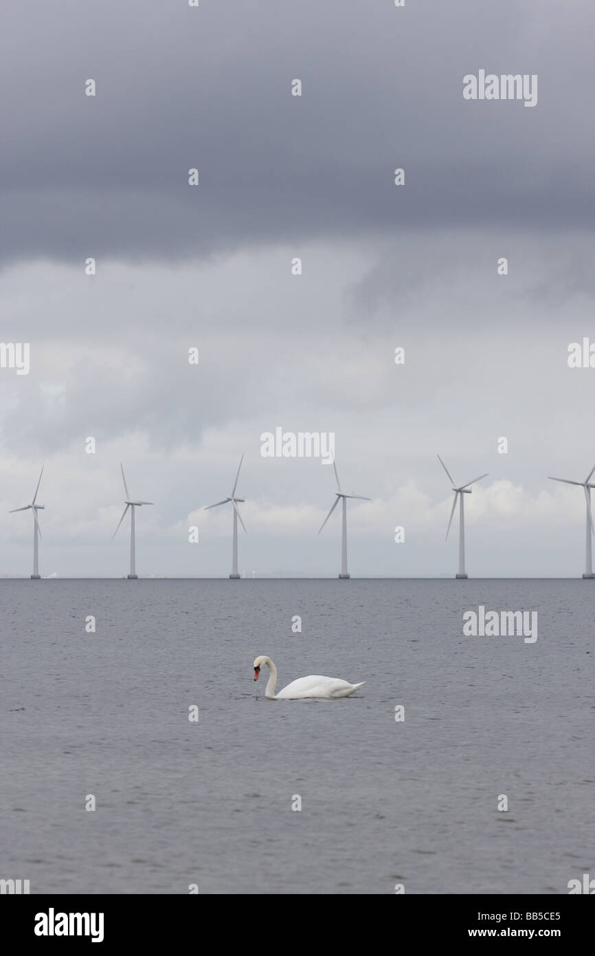 Copenhagen swan hi-res stock photography and images - Alamy