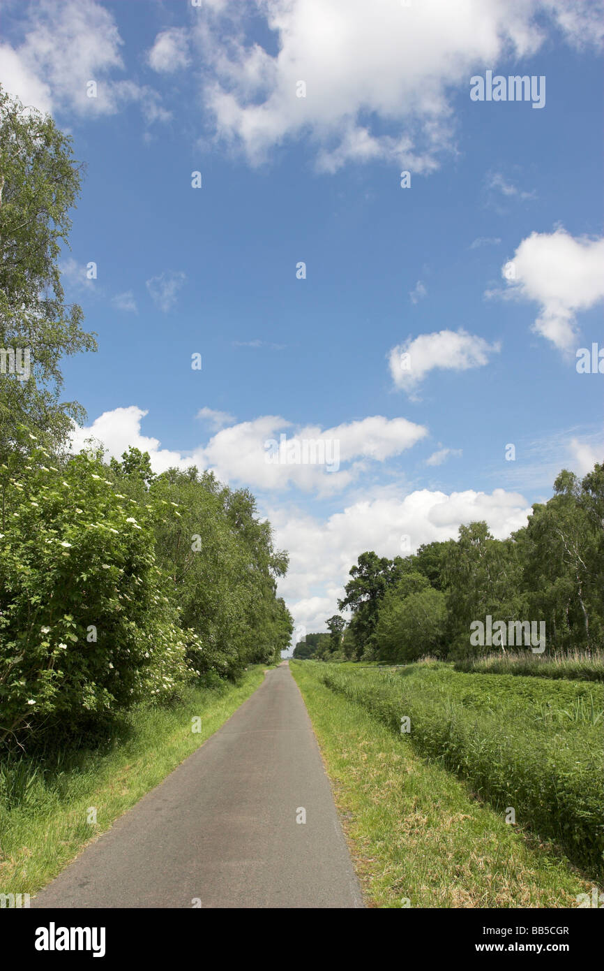 Straight road running through Holme Fen nature reserve lying at the ...