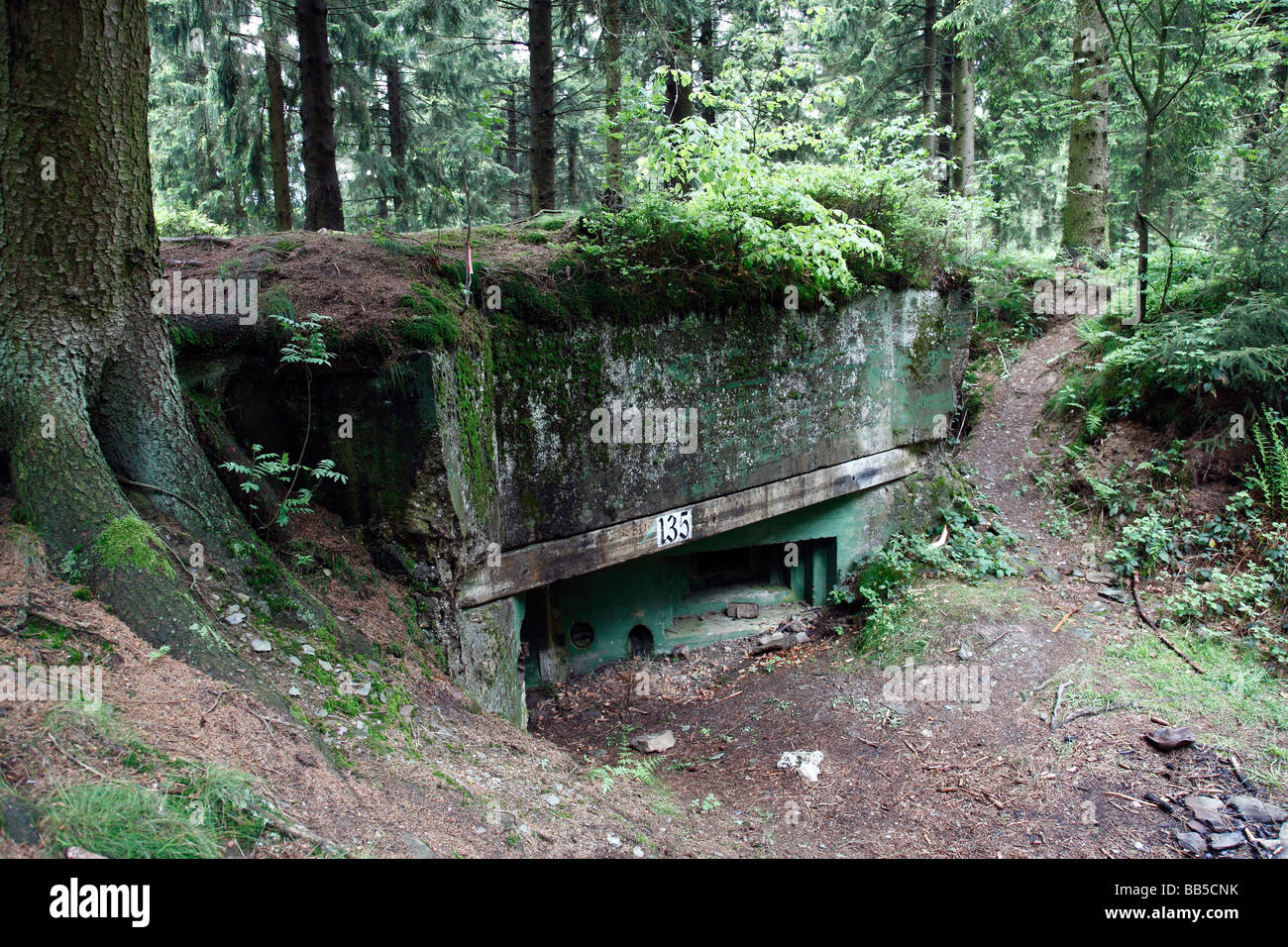 Bunkers in Buhlert wood in the Eiffel region of Germany which formed ...