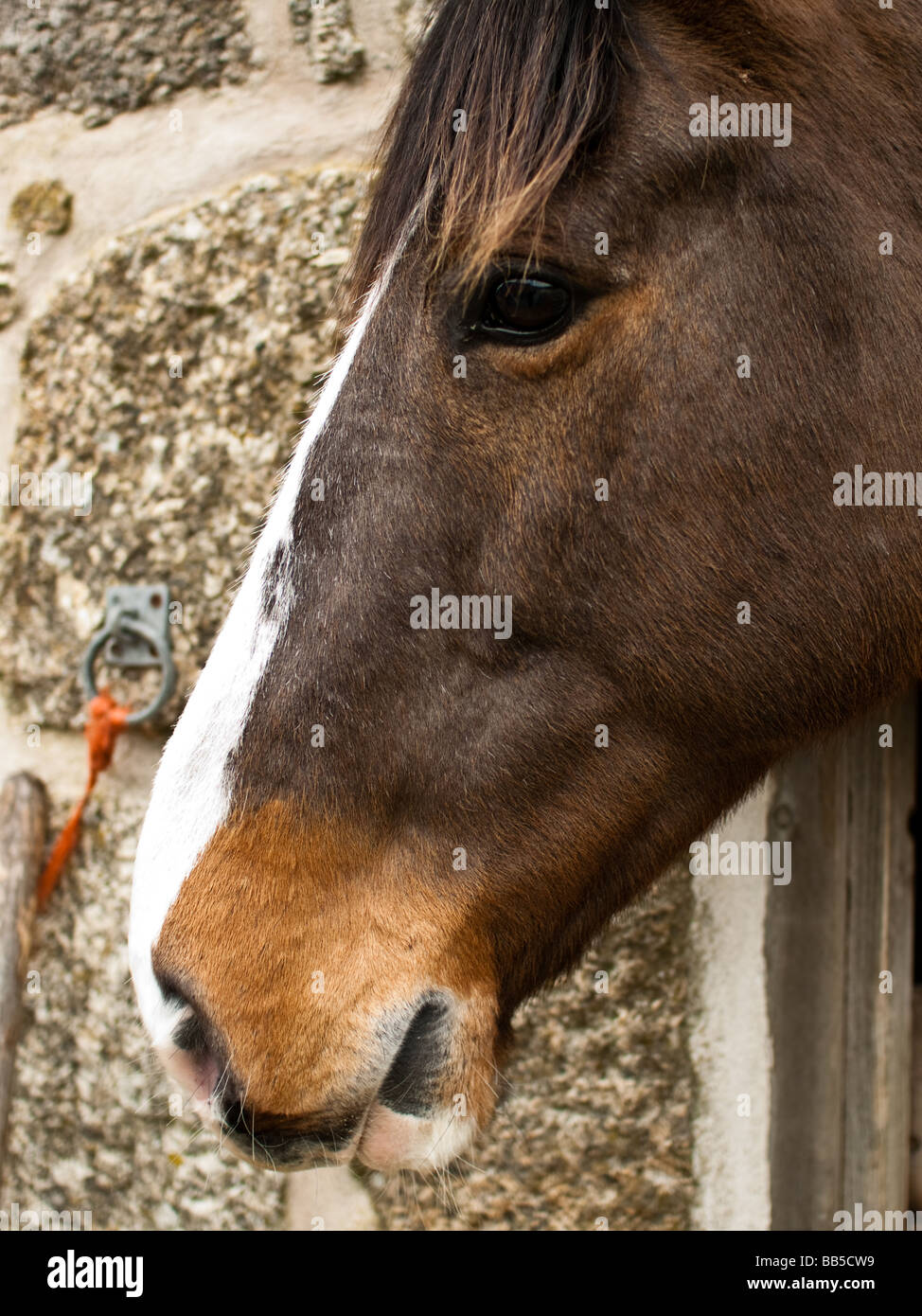 Farm farmhouse horse hi-res stock photography and images - Alamy