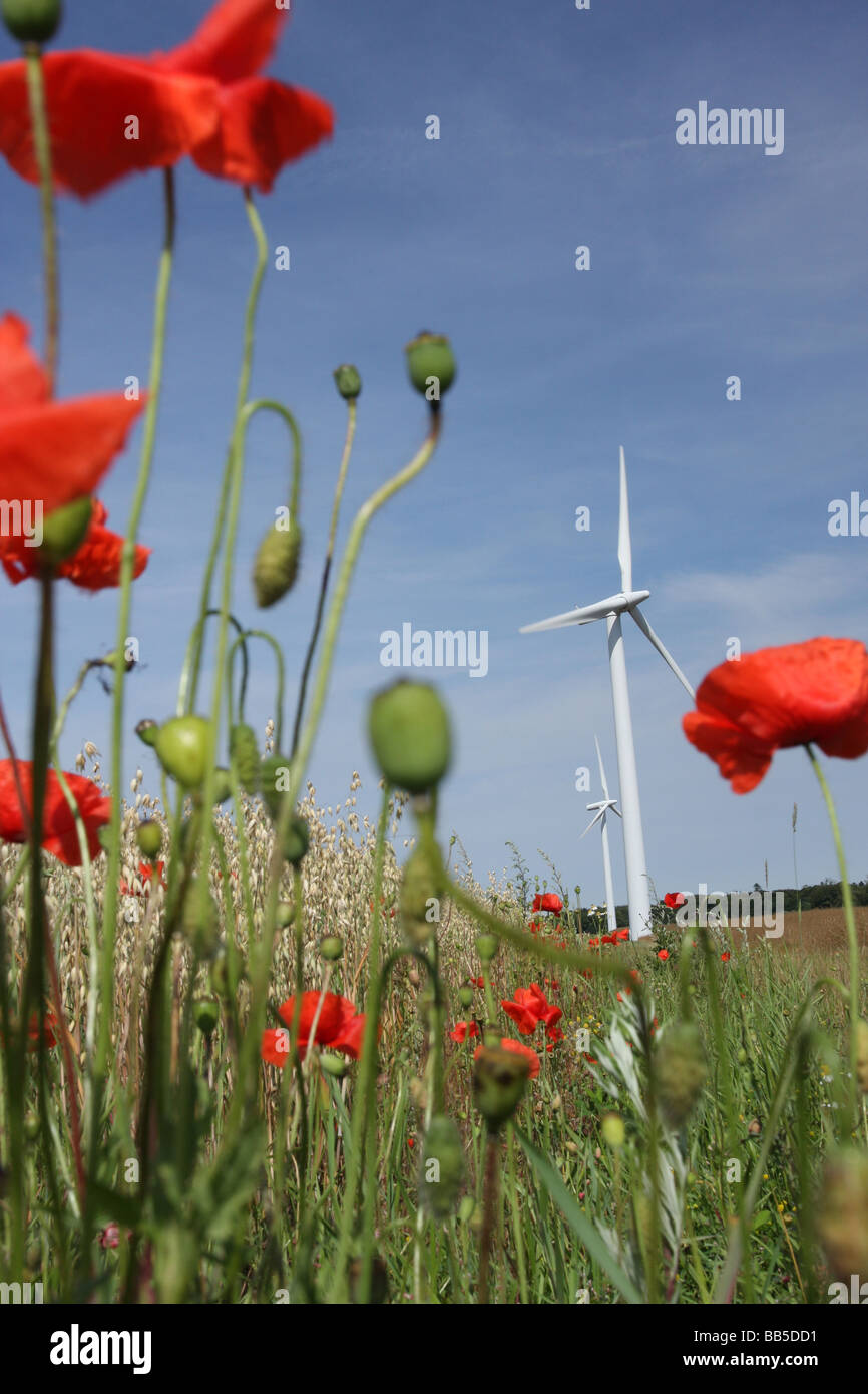 Wind Farm, Denmark Stock Photo - Alamy