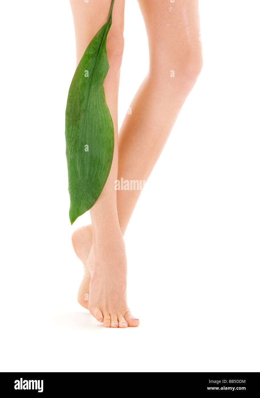 picture of female legs with green leaf over white Stock Photo - Alamy