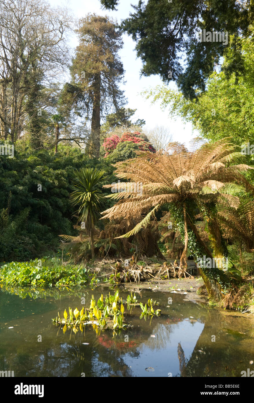 Lost Gardens Of Heligan Cornwall High Resolution Stock Photography and ...