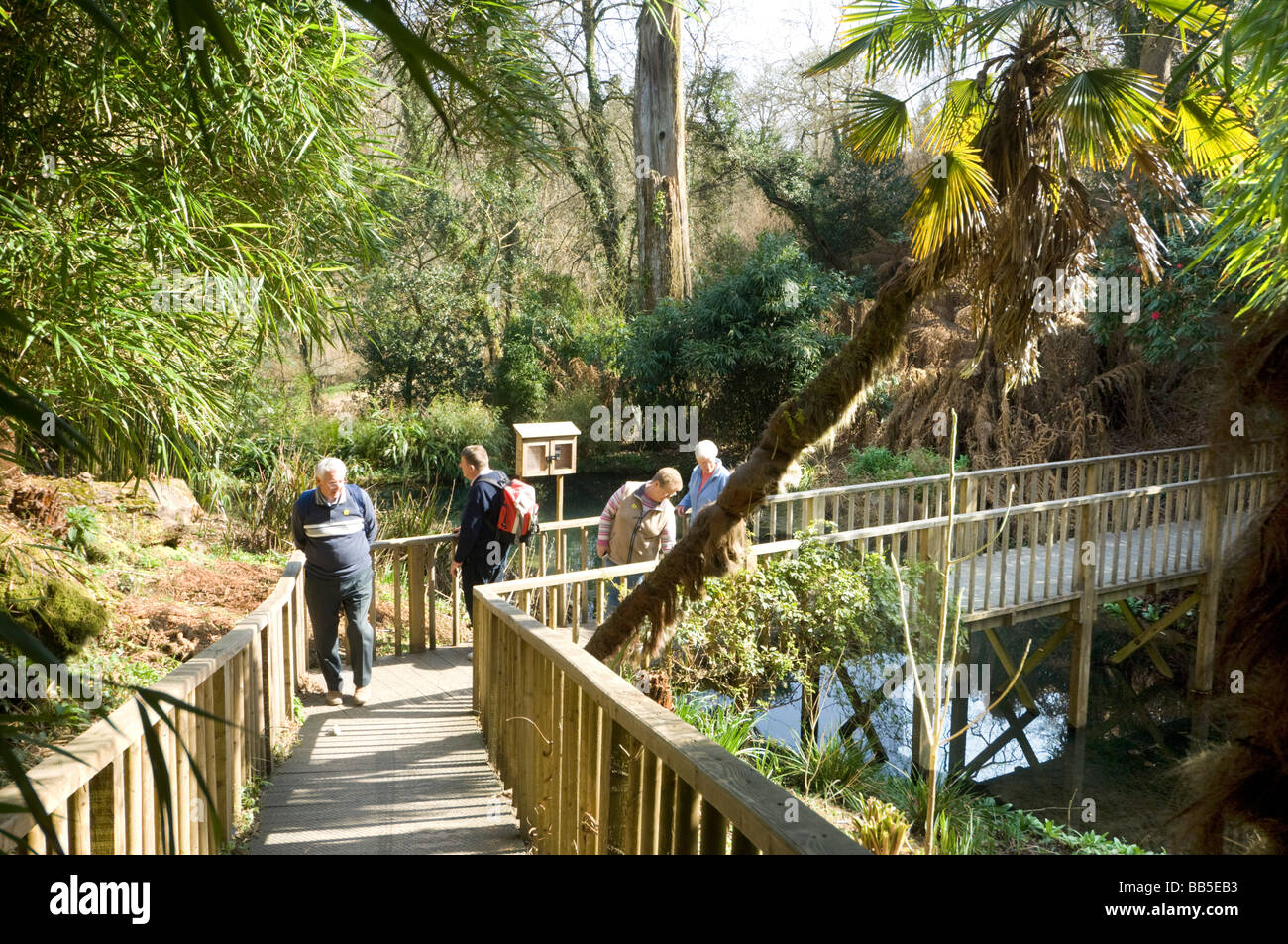 Lost Gardens Of Heligan Jungle High Resolution Stock Photography and ...