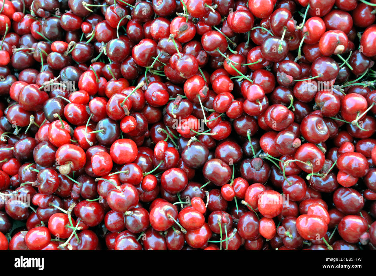Fresh red cherries Stock Photo - Alamy