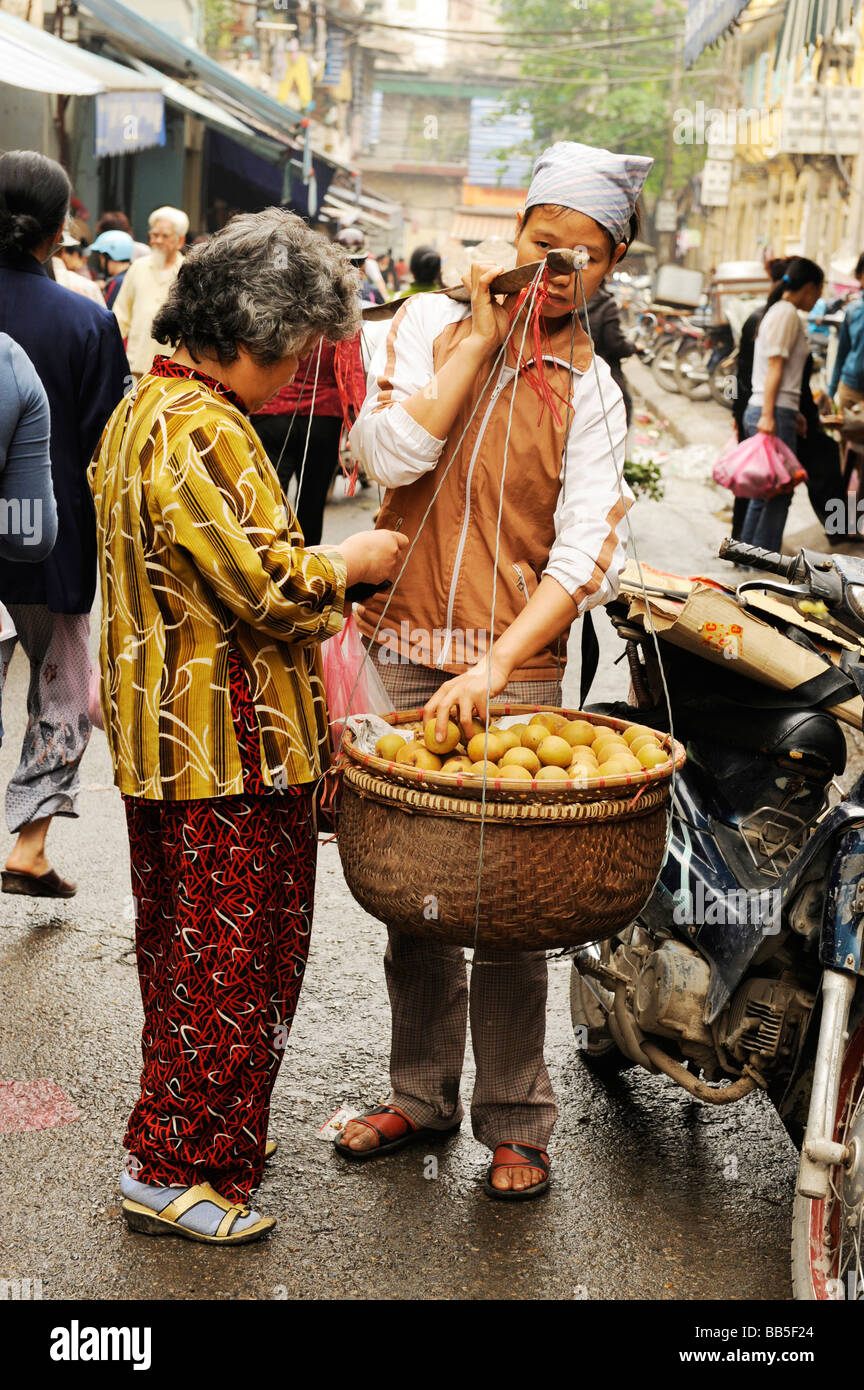Vietnamese sapodilla hi-res stock photography and images - Alamy