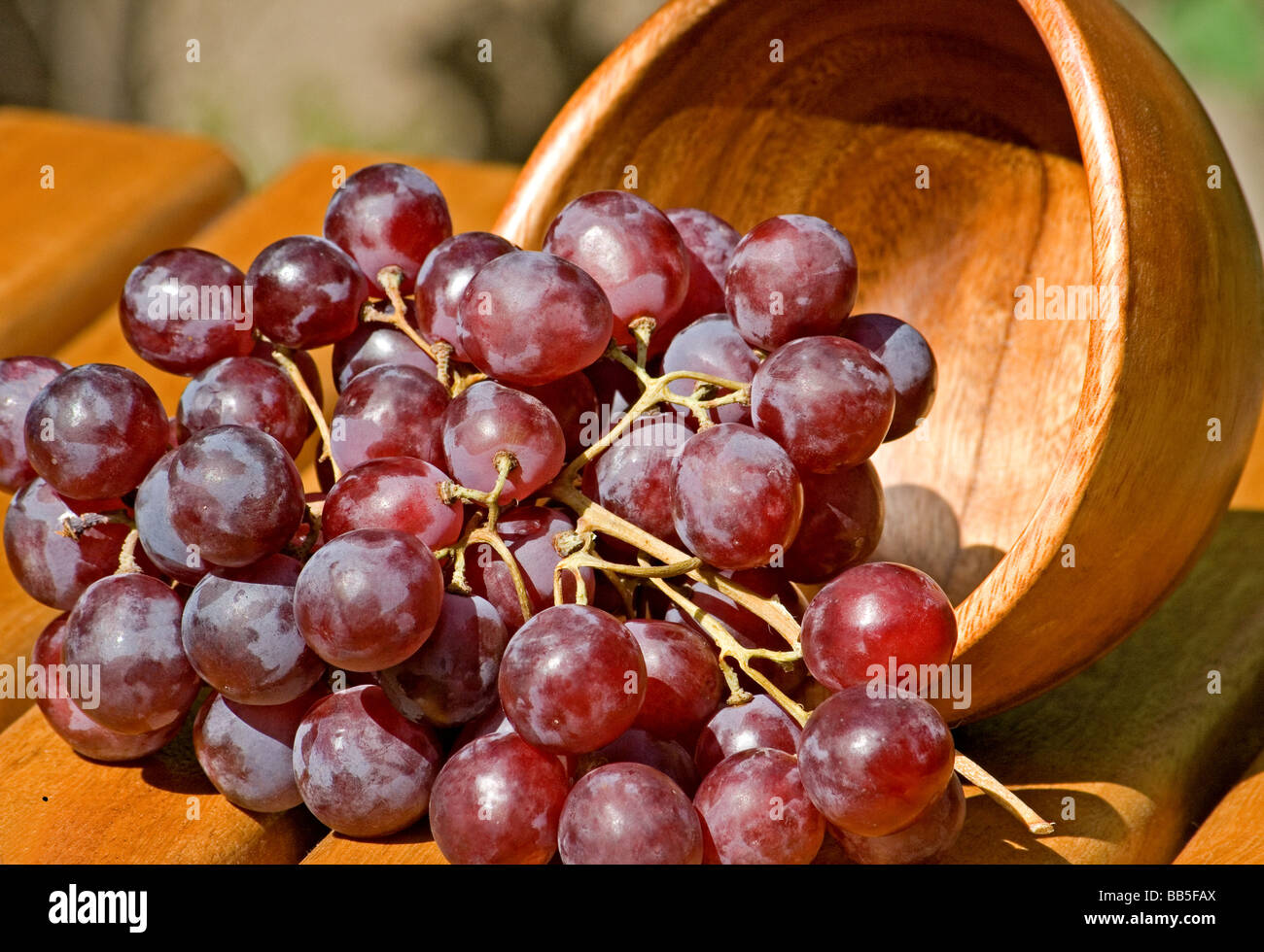 Table grapes vitis vinifera hi-res stock photography and images - Alamy