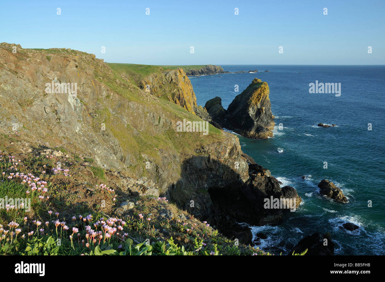 Lion Rock and Cliffs Kynance Cove Lizard Cornwall Stock Photo - Alamy