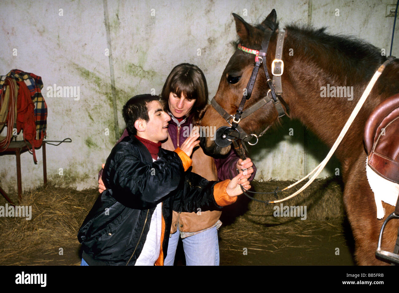 Disabled horse hi-res stock photography and images - Alamy