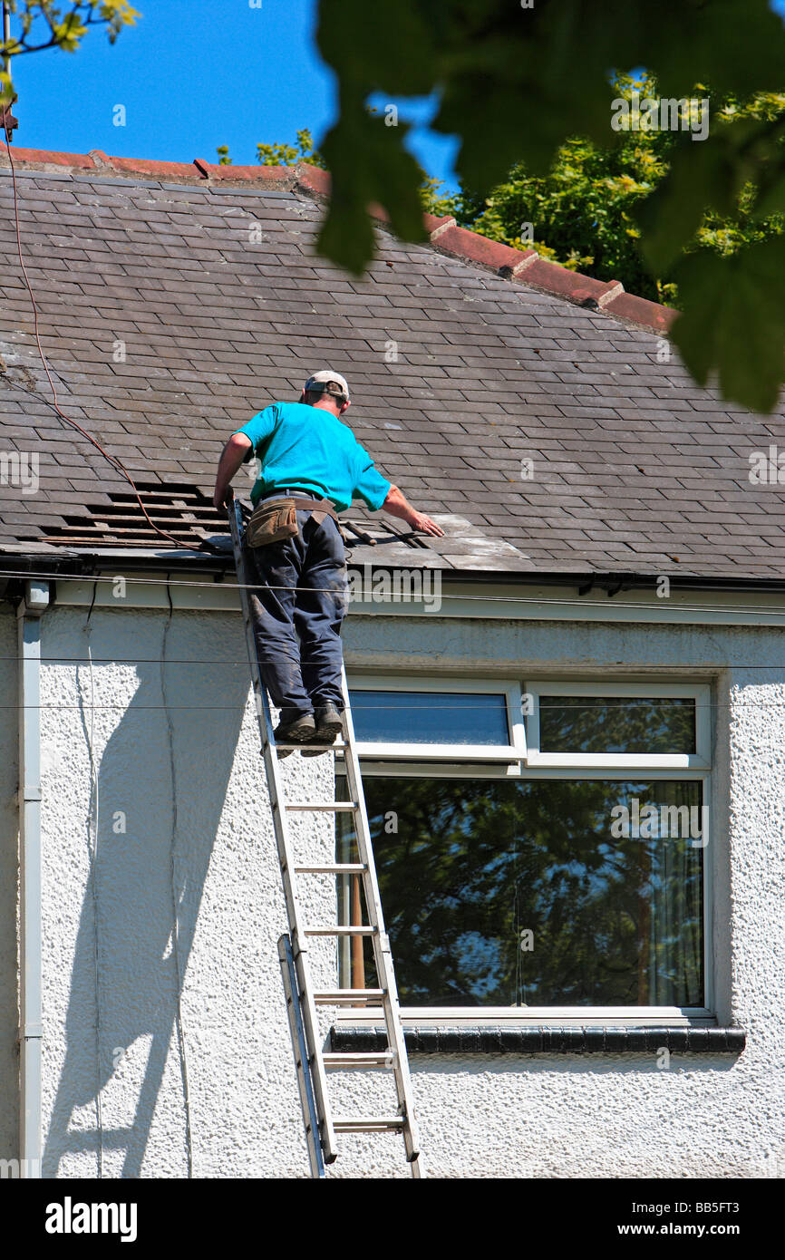 Repairing a Roof Stock Photo - Alamy